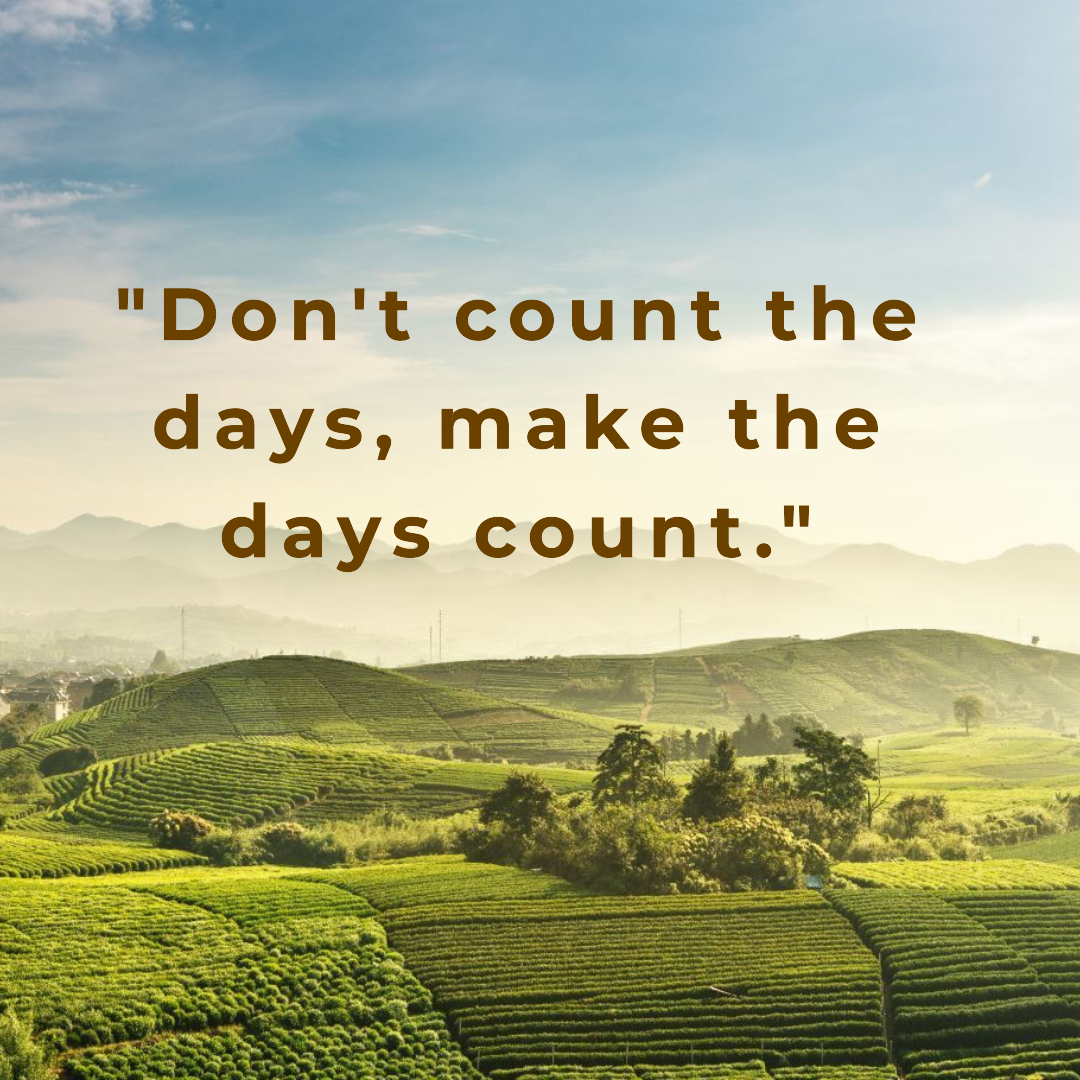 80 Good Morning Quotes to Give Your Day a Bright Start